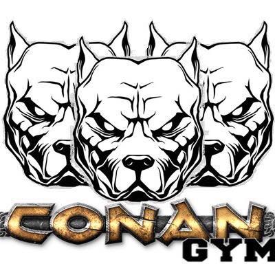 Conan Gym